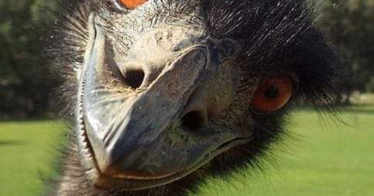 Happy Friday!!! Anyone have anything good planned?, Coach Connect Hub - Alignable