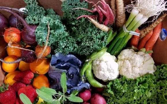 Local Farm Fresh Produce Delivery to Your Door with SLO Veg by SLO Veg ...