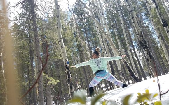 Beginners Gentle Flow Yoga by Kinetic Shapes Yoga in Denver, CO - Alignable