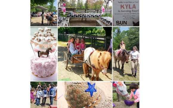 Pony Birthday Parties by Seaton Hackney Stables in Morristown, NJ ...