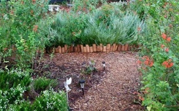 FL Native Plants for Your Landscape by Florida Native Plant Society ...