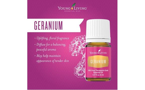 Geranium Essential Oil by Young Living Essential Oils - Simple Luxury ...