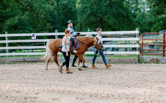 Volunteer Training for Therapeutic Riding Program by Freedom Steps ...