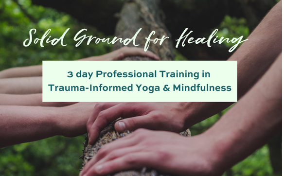 Solid Ground for Healing - Professional Training in Trauma Informed ...