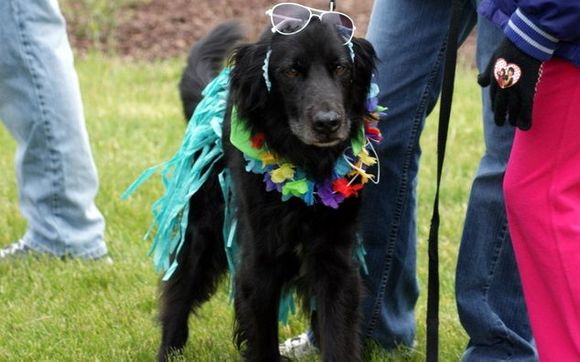 Bark In The Park by Fox Valley Humane Association in Appleton, WI ...