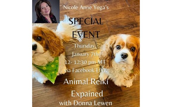 **Special Event** - Animal Reiki Explained w/ Donna Lewen by Nicole ...