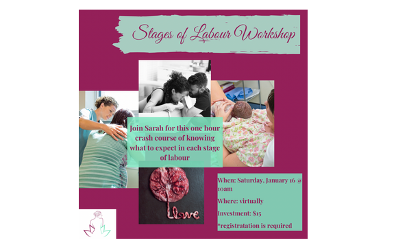 Stages of Labour Workshop by Sarah Taylor Wellness in Belleville, ON ...