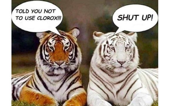 H2o at Home Virtual Party by H2O at Home-Jennifer Brayton in Pasco, WA ...