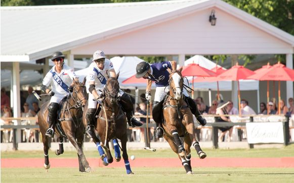 WESTPOINT LINCOLN CLASSIC by Houston Polo Club in Houston, TX - Alignable