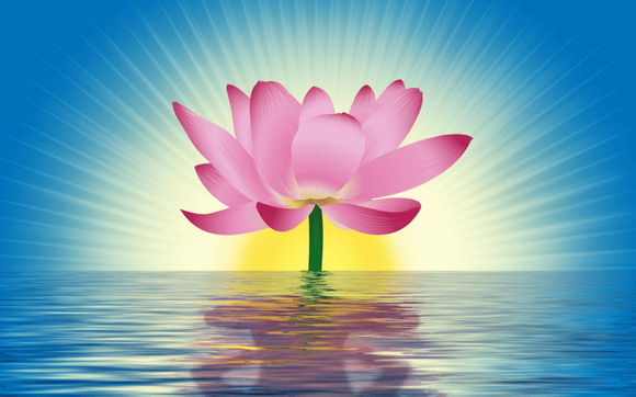 20% off first visit to Lotus Acupuncture by Lotus Healing Acupuncture ...