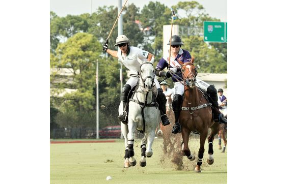 HARVEST CUP presented by THE MACALLAN by Houston Polo Club in Houston ...