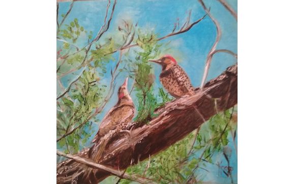 Flickers in a Tree by "All Painting Art With Style", also as KLK ...