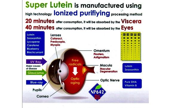 SUPER LUTEIN - Broad spectrum Multi carotenoid nutritional supplement ...