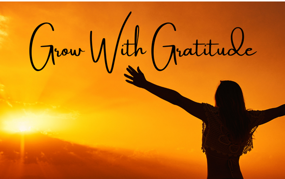The Grow With Gratitude Challenge by Tami Jaffe Coaching in Charlotte ...