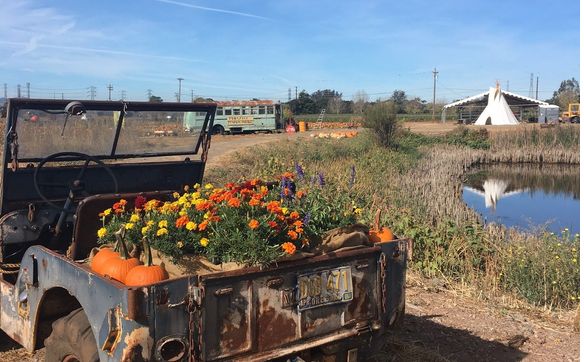 Pronzini Ranch Event Center by Pronzini Christmas Tree Lots in Petaluma ...