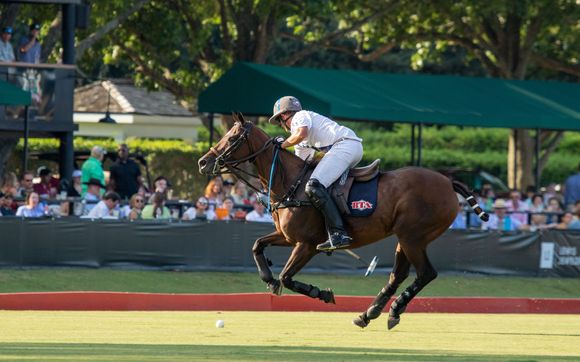 HARVEST CUP by Houston Polo Club in Houston, TX - Alignable