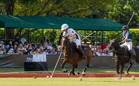 PENNY CUP by Houston Polo Club in Houston, TX - Alignable