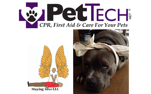 Pet Tech Pet First Aid and CPR Training by Staying Alive LLC in Mesa ...