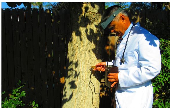 Secret To A more Beautiful Landscape by Monji Michael & Associates ...