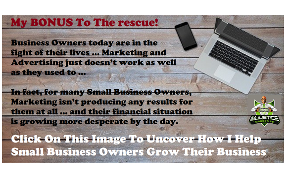 The Bonus of all Business Bonuses by Strategic Marketing Success in ...