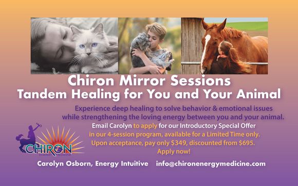 Chiron Mirror Sessions for You and Your Pet: Special Intro Offer by ...