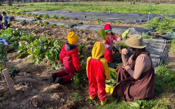 Morning on the Farm by Summerfield Waldorf School & Farm in Santa Rosa ...