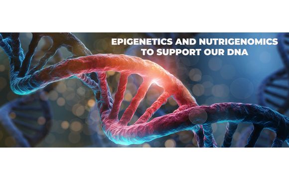 Epigenetics And Nutrigenomics To Support Our Dna! by LeadingEdgeHealth ...