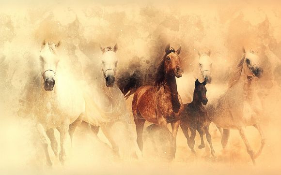 What's Your Pleasure Designs By Deborah by What's Your Pleasure ...