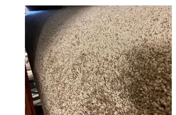 Carpet by Ray's Rugs & Flooring in Gainesville, FL - Alignable