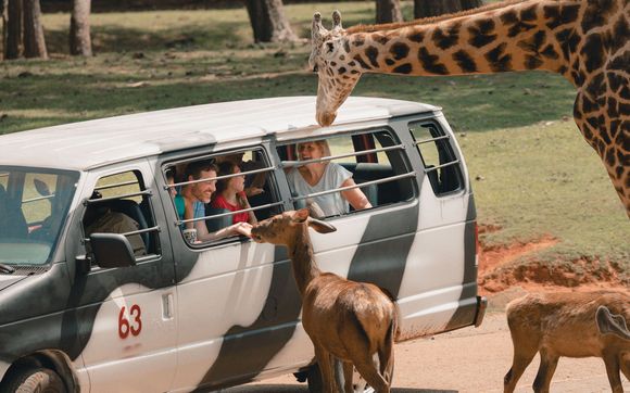 Pine Mountain Safari boasts Largest Drive Thru Safari by Wild Animal ...
