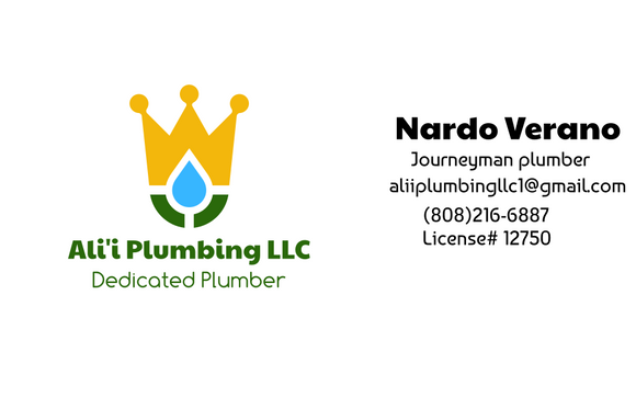 Free Visual Plumbing Inspection by Ali'i Plumbing LLC in Kailua, HI ...