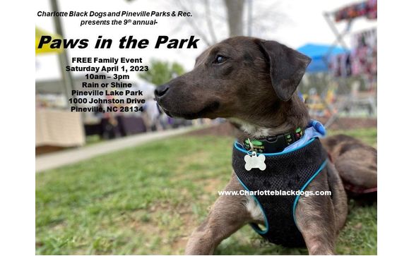 Paws in the Park by Charlotte Black Dogs in Charlotte, NC - Alignable