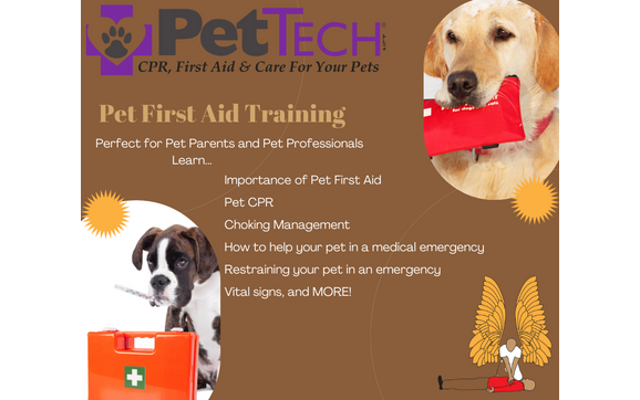 NATIONAL PET CPR DAY - Pet Tech Pet First Aid and CPR Training by ...
