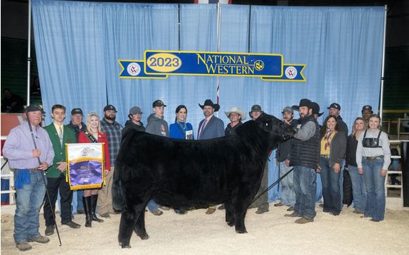 2023 National Western Stock Show GRAND CHAMPION by Lazy JB Angus Ranch ...