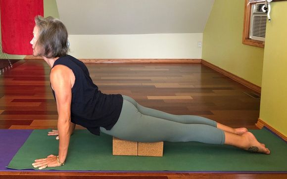 SHOULDER BLADES – Yoga Actions for Individual Alignment by Right to Joy ...