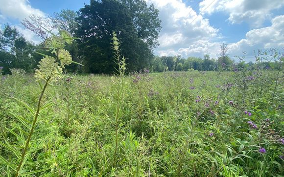 Come explore with SGI and meet some native plants you have never seen ...