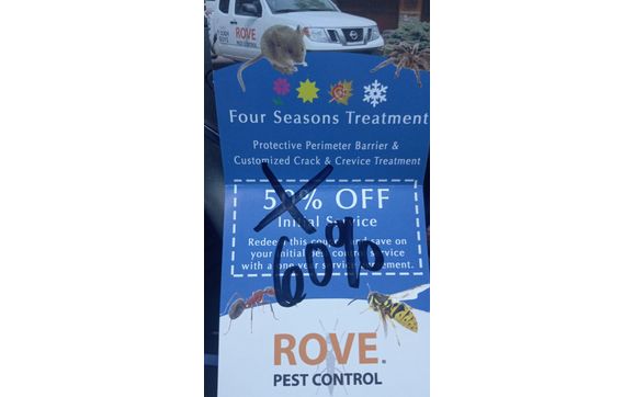 Bee Aware. What to look for what to do by Rove Pest Control in ...