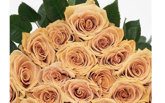 Rare and Exclusive - the "Toffee Rose" by Carls Flower Company Inc in ...