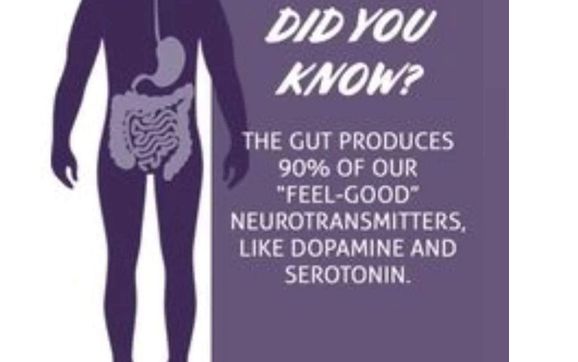 Wellness 101 why the SAD diet is hurting you by Wellness from the ...