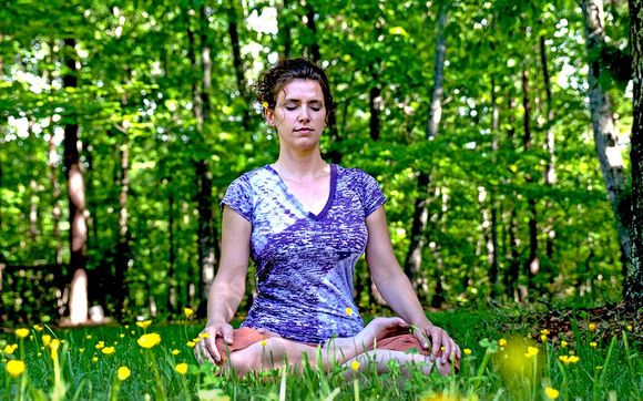 The Meditation Technique for You! by David Low, MS PhD DTh in ...