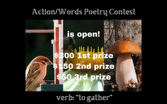 Action/Words Poetry Contest by Midway Journal in Cambridge, MA - Alignable