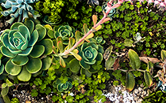 Fundraiser for Workforce Development Program by Baltimore Win ...