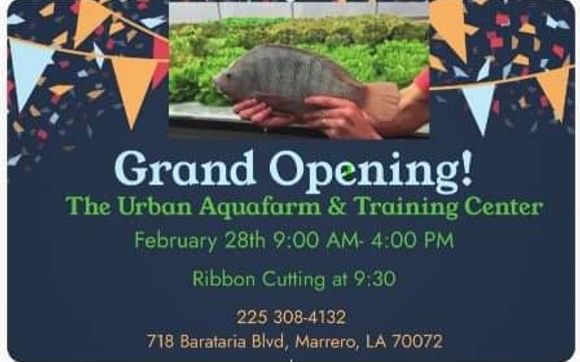 Grand Opening: The Urban Aqua farm and Training Center by Enterprise ...