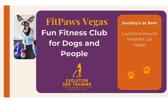 First class free! by Evolution Dog Training in Las Vegas, NV - Alignable
