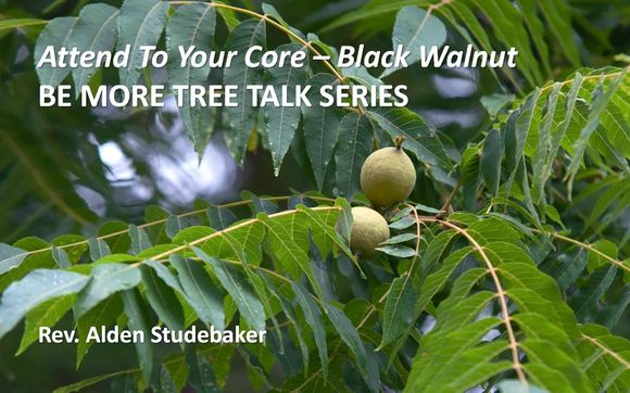 Attend To Your Core – Black Walnut by Unity of Springfield in ...