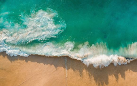 Coffee and Connections-Summerville