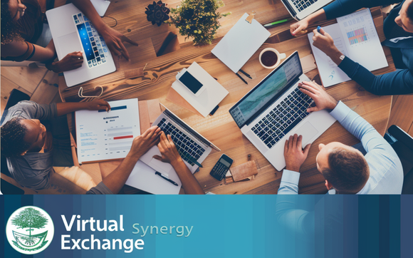 Virtual Synergy Exchange Discussions