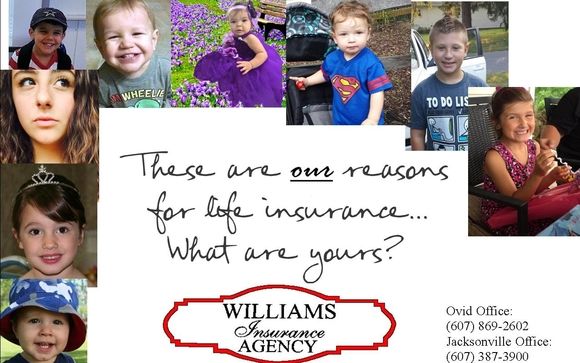 Williams Insurance Agency - Trumansburg Area - Alignable