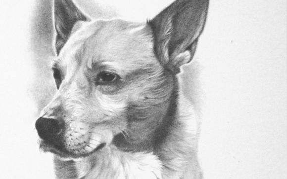 Dog Portraits by Ryan D. Jacque - pencil artist in Wales Area - Alignable