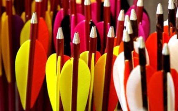 Custom Arrow Fletching by NC Hunter Supply LLC in Raleigh, NC - Alignable